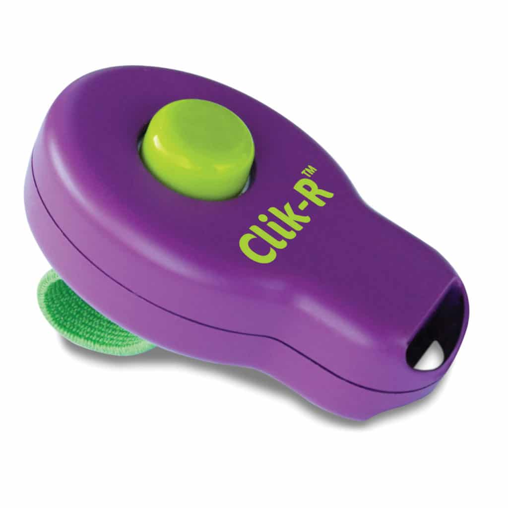 Petsafe Clik R Naksutin Doggo fi petsafe-clik-r-naksutin-doggo-fi